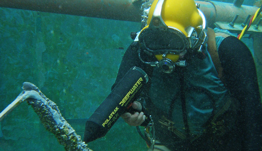 Polatrak® CP Gun probe for divers